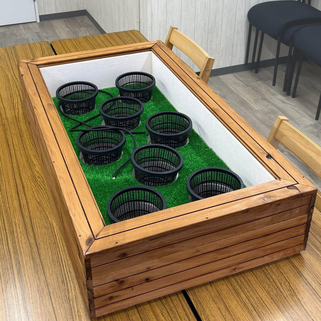 家庭菜園用 浮かせてキット千両箱8ポット分販売開始しました | JNR GLOBAL JAPAN